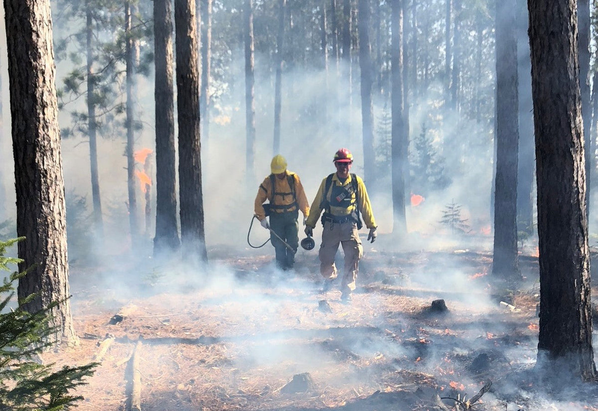 Firefighting Helmet Colors and Their Meanings