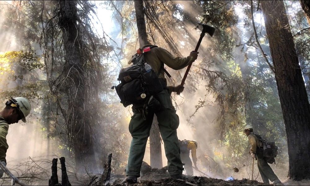 What To Know When Choosing a Fire Line Backpack