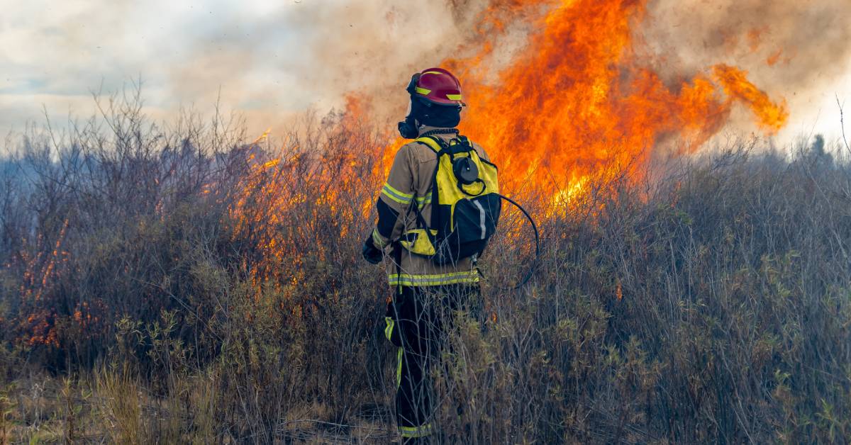 5 Hazards in a Wildfire Area and How To Avoid Them