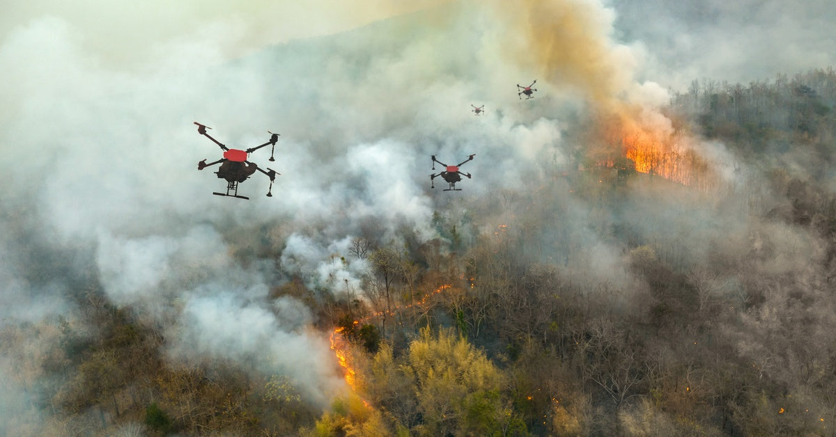 The Role of Technology in Wildfire Prevention