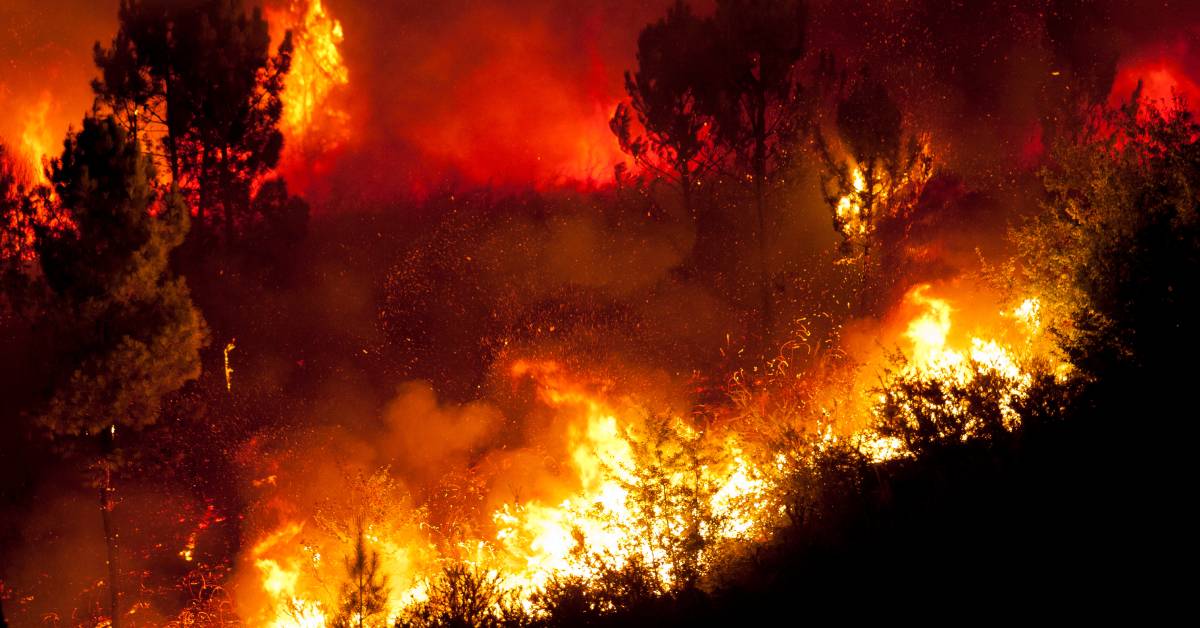 An Overview of the Environmental Effects of Wildfires