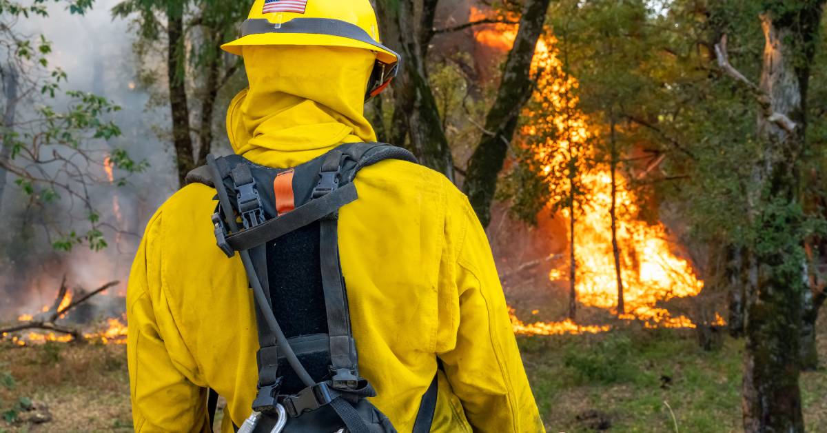 Why Use High-Visibility Equipment in Wildland Firefighting?