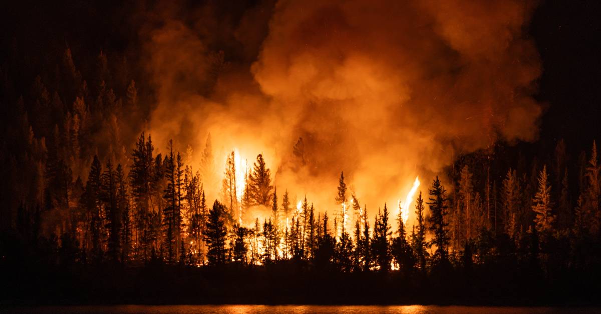 The Connection Between Climate Change and Wildfires